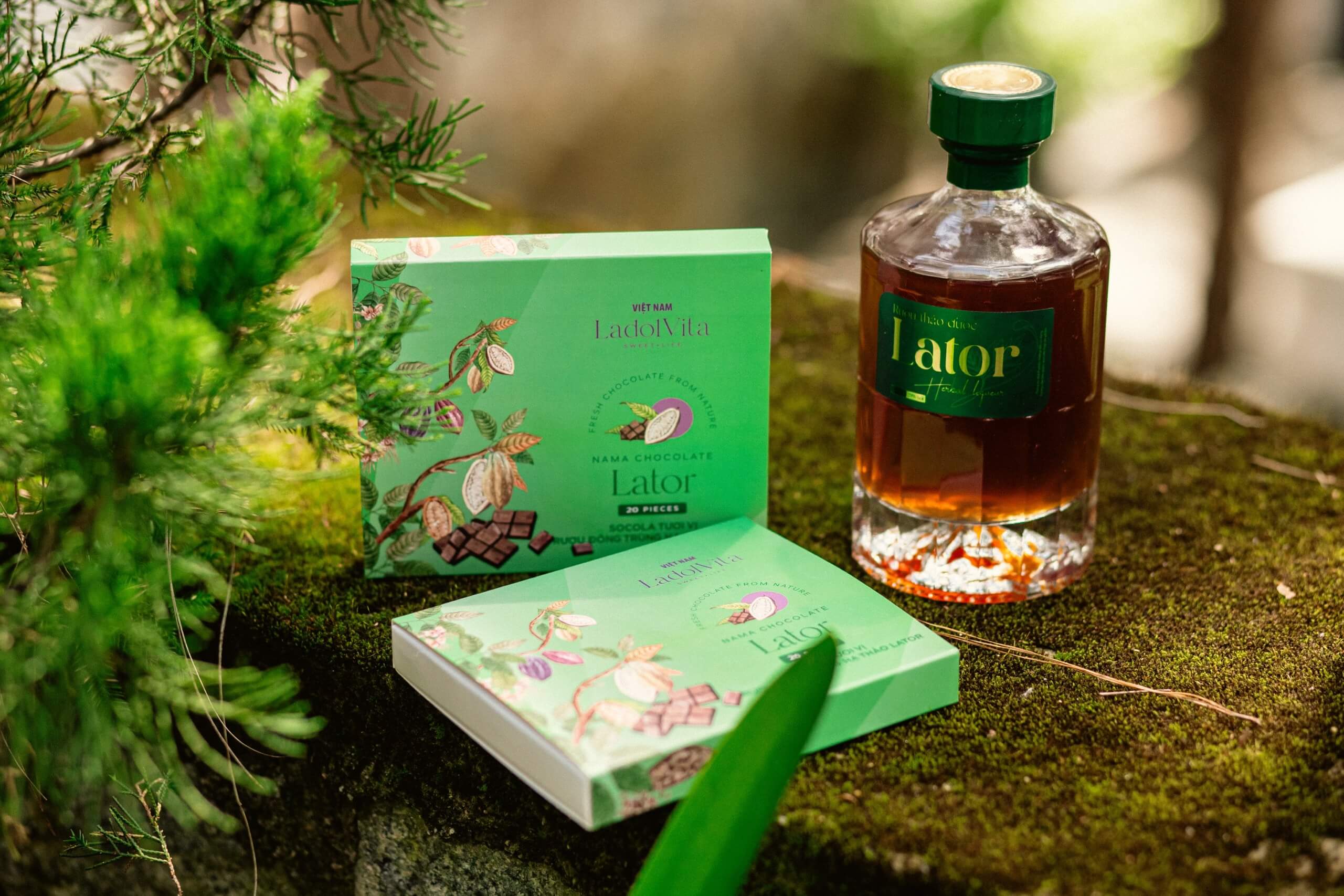 Nama Chocolate Lator - Socola Tươi LadolVita Vị Lator- Hộp 20 Viên ...